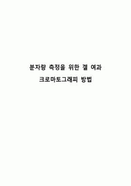 분자량 측정을 위한 겔 여과 크로마토그래피 방법-1페이지