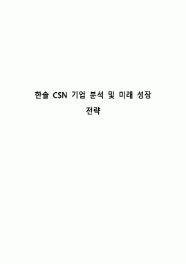 한솔 CSN 기업 분석 및 미래 성장 전략-1페이지