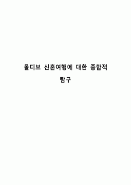 몰디브 신혼여행에 대한 종합적 탐구-1페이지