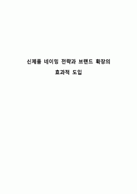 신제품 네이밍 전략과 브랜드 확장의 효과적 도입-1페이지