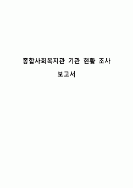 종합사회복지관 기관 현황 조사 보고서-1페이지