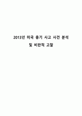 2013년 미국 총기 사고 사건 분석 및 비판적 고찰-1페이지