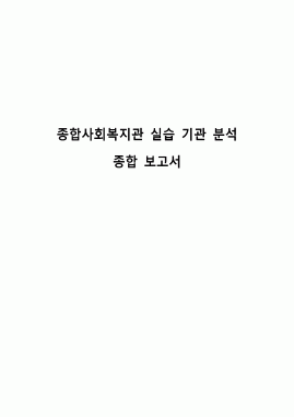 종합사회복지관 실습 기관 분석 종합 보고서-1페이지