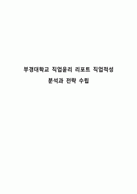 부경대학교 직업윤리 리포트 직업적성 분석과 전략 수립-1페이지