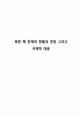 북한 핵 문제의 현황과 전망 그리고 국제적 대응-1페이지