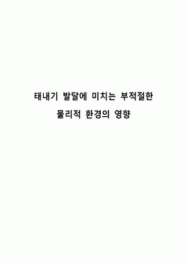 태내기 발달에 미치는 부적절한 물리적 환경의 영향-1페이지