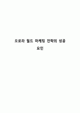 오로라 월드 마케팅 전략의 성공 요인-1페이지