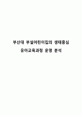 부산대 부설어린이집의 생태중심 유아교육과정 운영 분석-1페이지