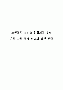노인복지 서비스 전달체계 분석 공적 사적 체계 비교와 발전 전략-1페이지