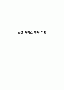 소셜 커머스 전략 기획-1페이지