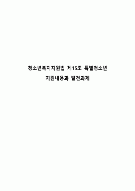 청소년복지지원법 제15조 특별청소년 지원내용과 발전과제-1페이지