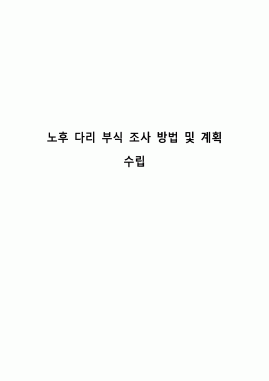 노후 다리 부식 조사 방법 및 계획 수립-1페이지