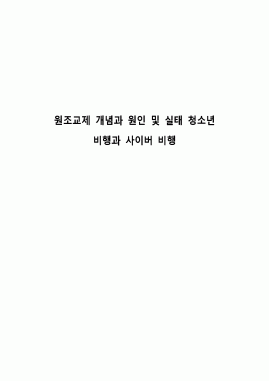 원조교제 개념과 원인 및 실태 청소년 비행과 사이버 비행-1페이지