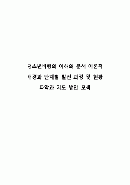 청소년비행의 이해와 분석 이론적 배경과 단계별 발전 과정 및 현황 파악과 지도 방안 모색-1페이지