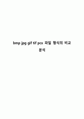 bmp jpg gif tif pcx 파일 형식의 비교 분석-1페이지