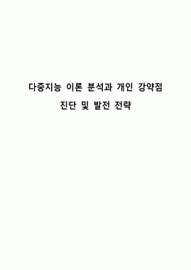 다중지능 이론 분석과 개인 강약점 진단 및 발전 전략-1페이지