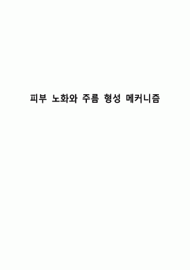 피부 노화와 주름 형성 메커니즘-1페이지