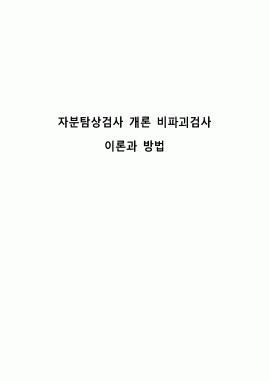 자분탐상검사 개론 비파괴검사 이론과 방법-1페이지
