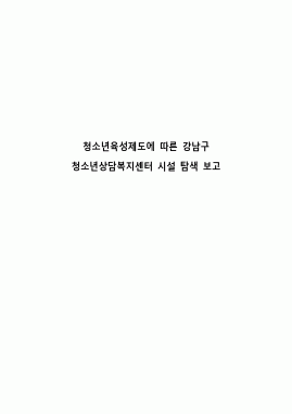 청소년육성제도에 따른 강남구 청소년상담복지센터 시설 탐색 보고-1페이지