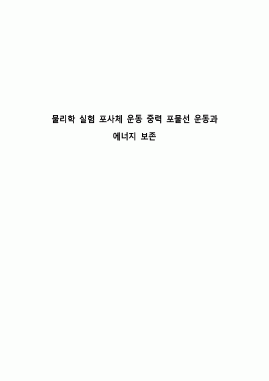 물리학 실험 포사체 운동 중력 포물선 운동과 에너지 보존-1페이지