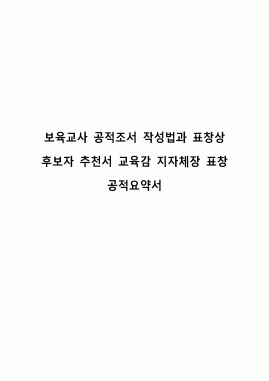 보육교사 공적조서 작성법과 표창상 후보자 추천서 교육감 지자체장 표창 공적요약서-1페이지