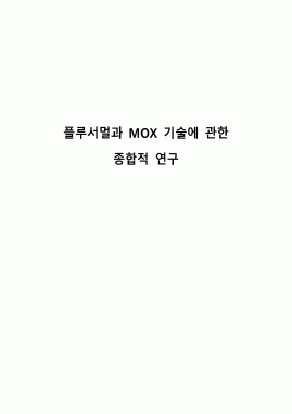 플루서멀과 MOX 기술에 관한 종합적 연구-1페이지