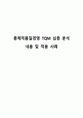총체적품질경영 TQM 심층 분석 내용 및 적용 사례-1페이지