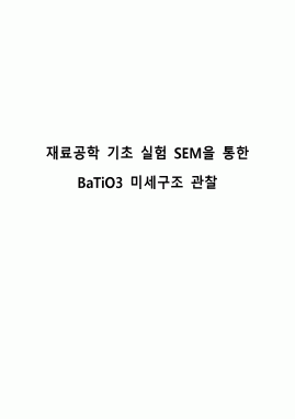 재료공학 기초 실험 SEM을 통한 BaTiO3 미세구조 관찰-1페이지