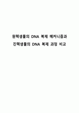 원핵생물의 DNA 복제 메커니즘과 진핵생물의 DNA 복제 과정 비교-1페이지
