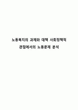 노동복지의 과제와 대책 사회정책적 관점에서의 노동문제 분석-1페이지