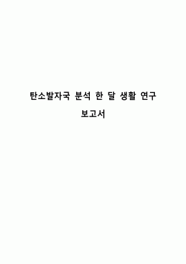 탄소발자국 분석 한 달 생활 연구 보고서-1페이지
