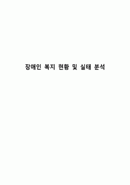 장애인 복지 현황 및 실태 분석-1페이지