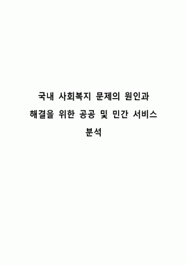 국내 사회복지 문제의 원인과 해결을 위한 공공 및 민간 서비스 분석-1페이지