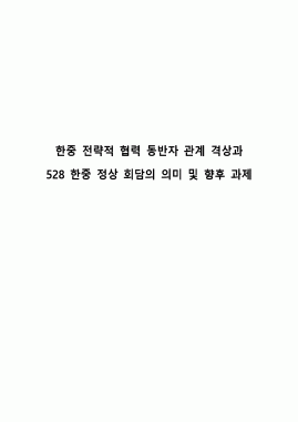 한중 전략적 협력 동반자 관계 격상과 528 한중 정상 회담의 의미 및 향후 과제-1페이지