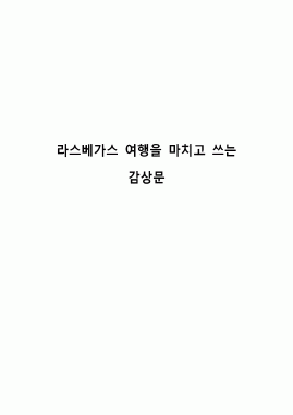 라스베가스 여행을 마치고 쓰는 감상문-1페이지