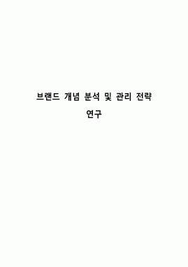 브랜드 개념 분석 및 관리 전략 연구-1페이지