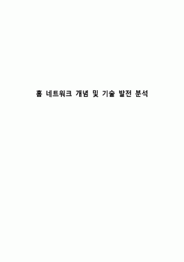 홈 네트워크 개념 및 기술 발전 분석-1페이지
