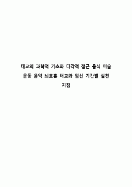 태교의 과학적 기초와 다각적 접근 음식 미술 운동 음악 뇌호흡 태교와 임신 기간별 실천 지침-1페이지