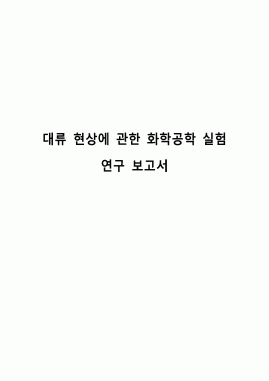 대류 현상에 관한 화학공학 실험 연구 보고서-1페이지