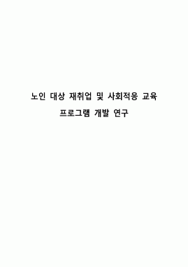노인 대상 재취업 및 사회적응 교육 프로그램 개발 연구-1페이지
