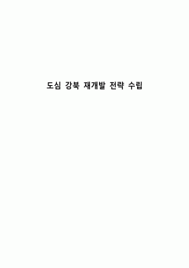도심 강북 재개발 전략 수립-1페이지