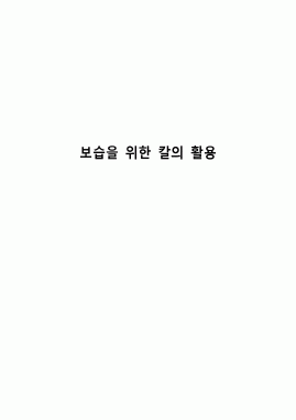 보습을 위한 칼의 활용-1페이지