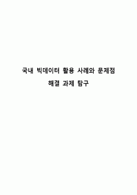 국내 빅데이터 활용 사례와 문제점 해결 과제 탐구-1페이지