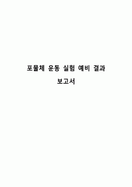 포물체 운동 실험 예비 결과 보고서-1페이지