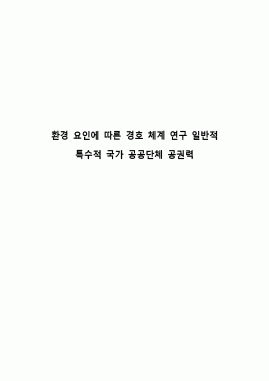 환경 요인에 따른 경호 체계 연구 일반적 특수적 국가 공공단체 공권력-1페이지