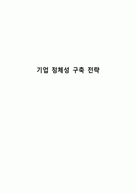 기업 정체성 구축 전략-1페이지