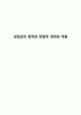 과잉금지 원칙의 헌법적 의미와 적용-1페이지