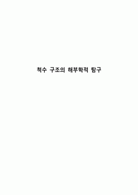 척수 구조의 해부학적 탐구-1페이지