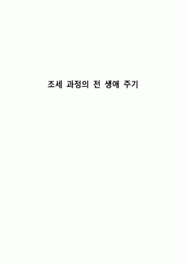 조세 과정의 전 생애 주기-1페이지
