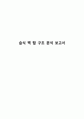 습식 벽 탑 구조 분석 보고서-1페이지